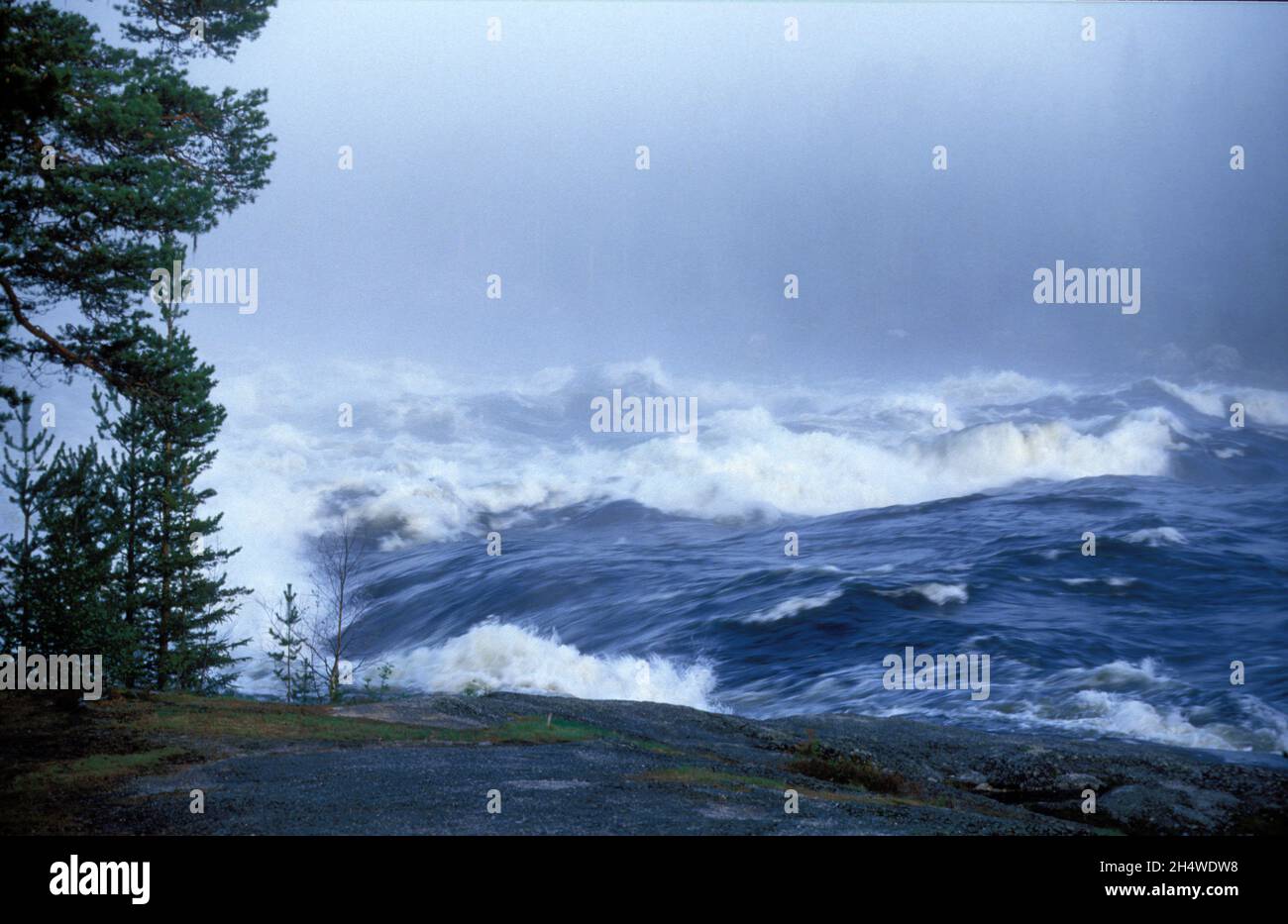 Great Swedish rivers in spring flood, analog. Great rapids in rivers in ...