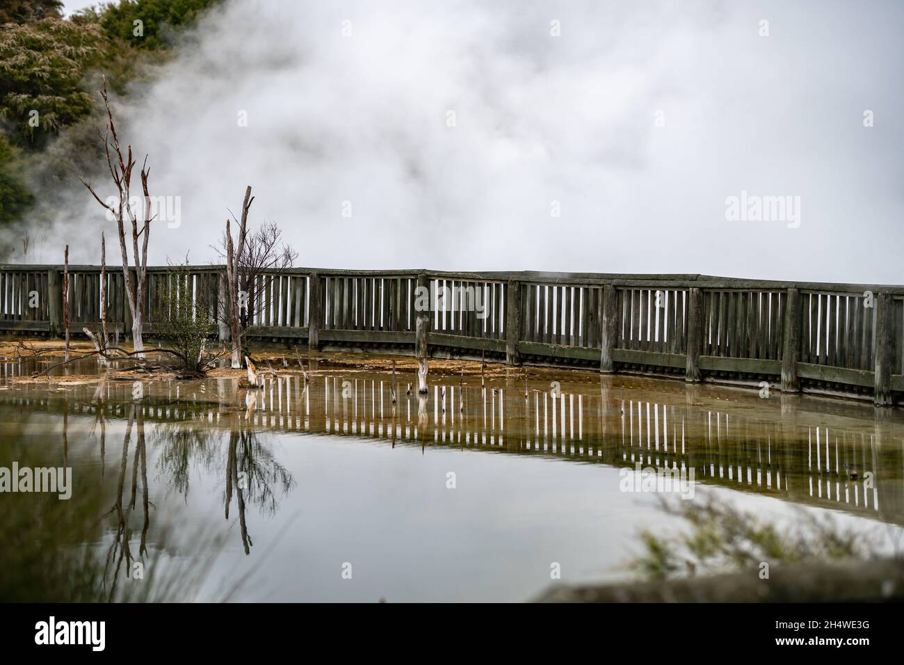 Geothermal lake in Kuirau Park, Rotorua, New Zealand Stock Photo - Alamy