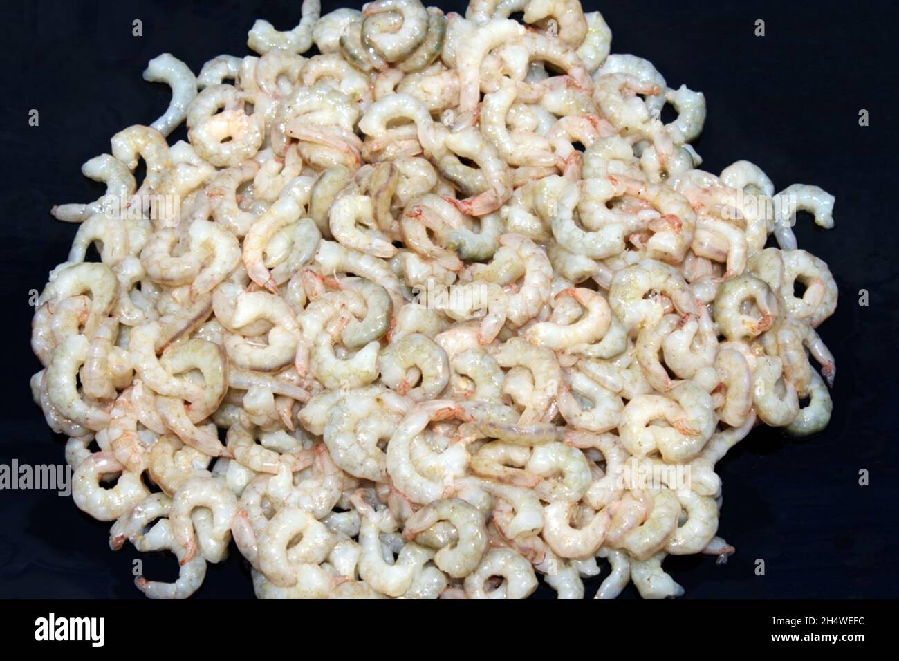 Sea foods in Kerala Stock Photo - Alamy