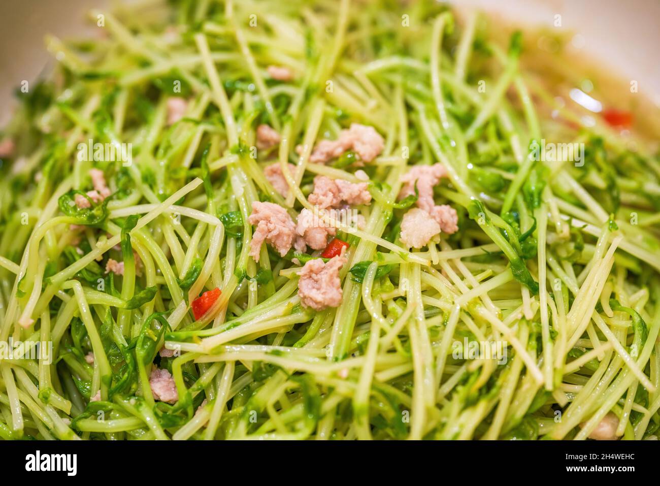 A delicious Chinese dish, stir-fried green bean sprouts Stock Photo - Alamy
