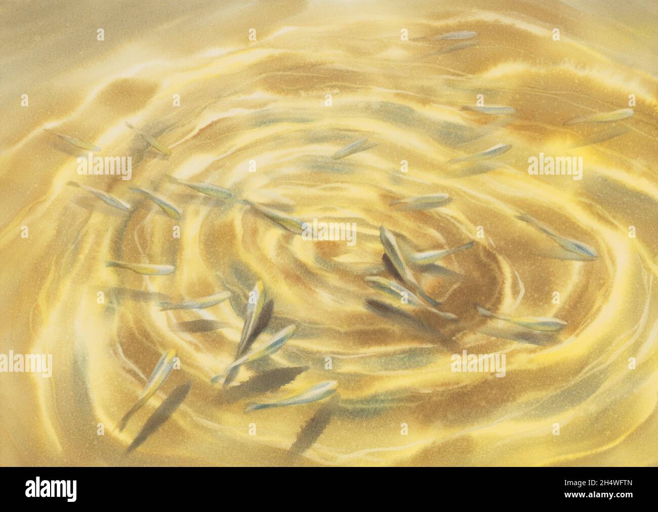 Sunny water ripples and fish watercolor background Stock Photo - Alamy