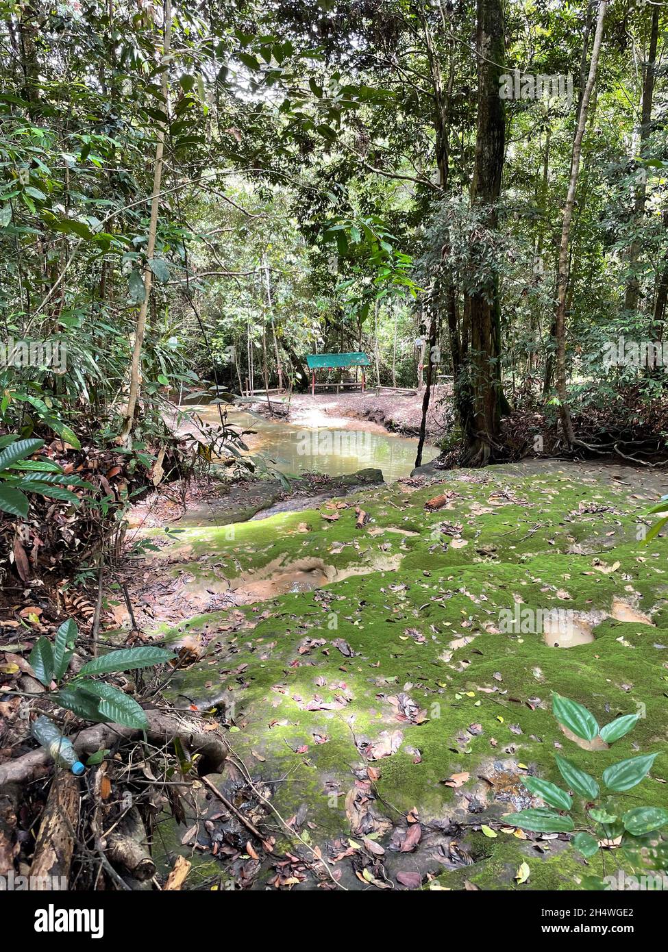 Jungle hut hi-res stock photography and images - Alamy