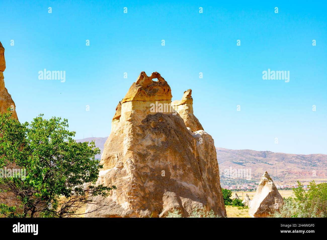 Peri bacasi hi-res stock photography and images - Alamy