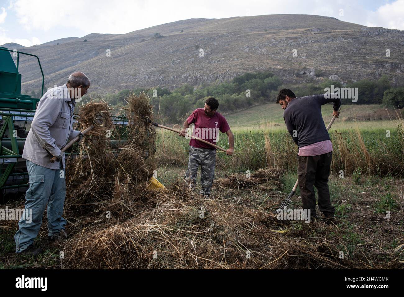 Agriculture, farming in Abruzzo, Italy Stock Photo - Alamy
