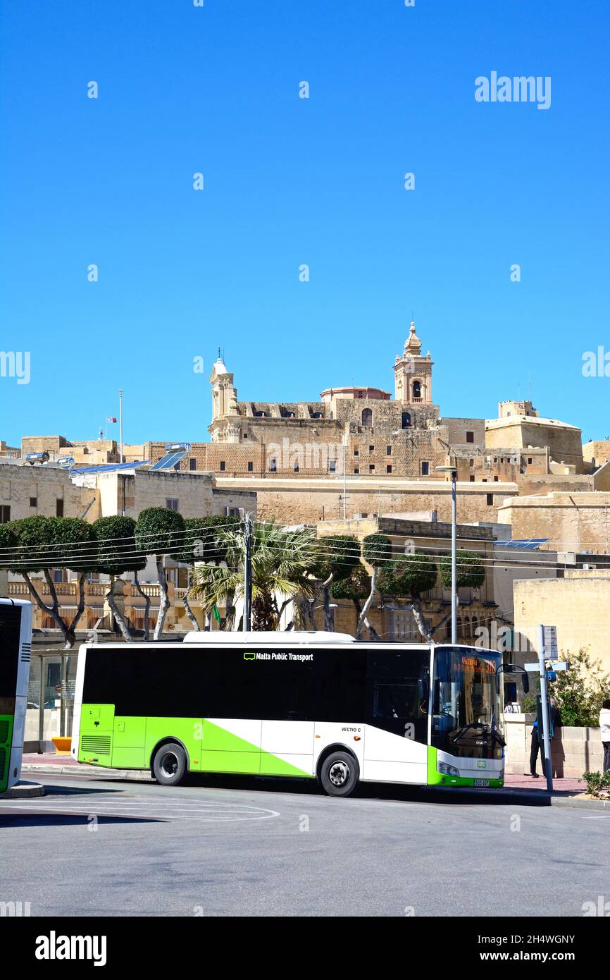 Green and white Malta public transport bus in the port area with views ...