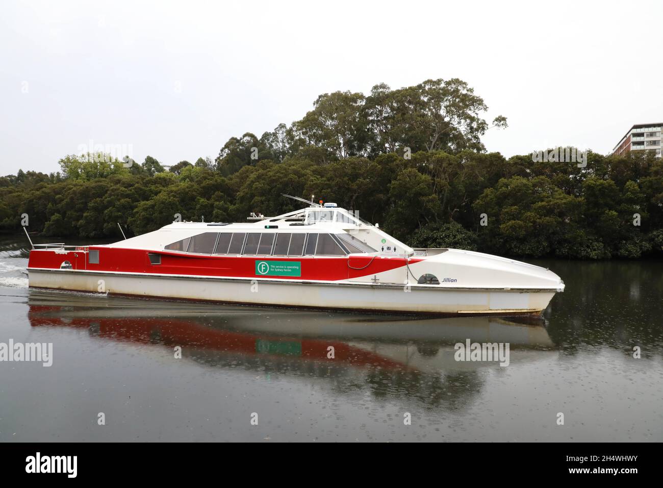 A rivercat ferry on the Parramatta River having just department ...
