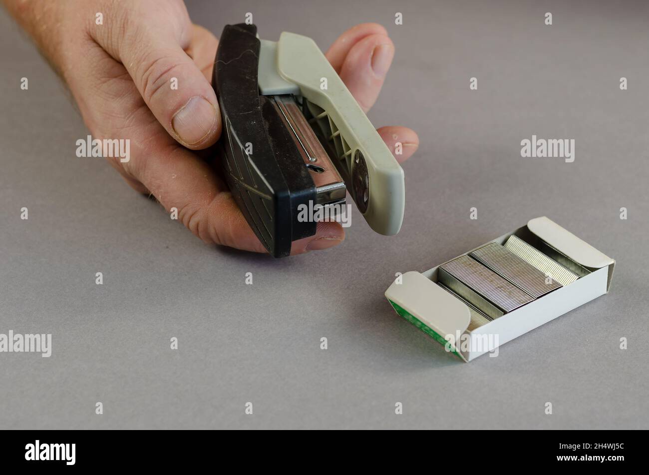 Hand stapler and box of staples against gray background. Man is holding ...