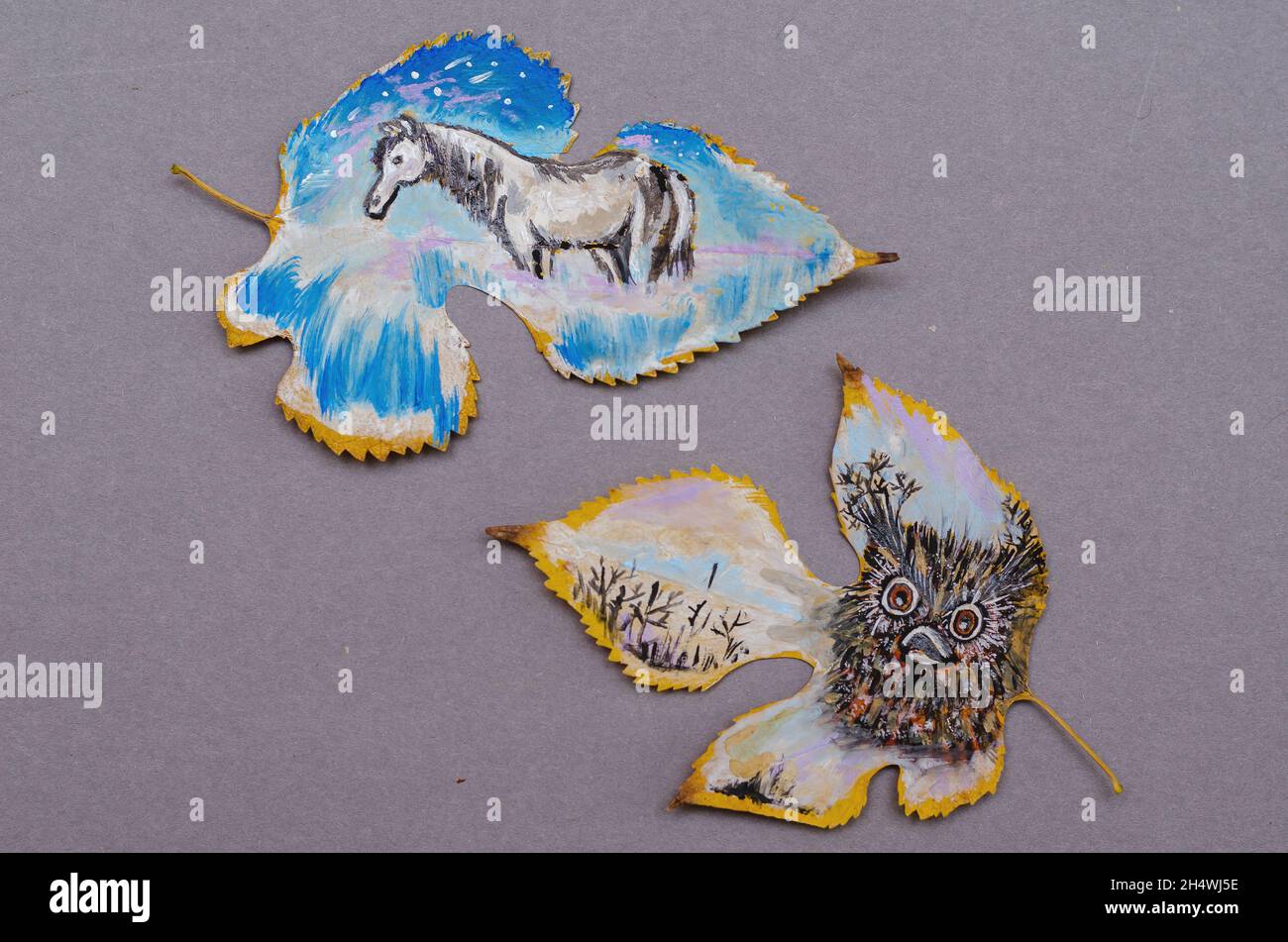 Fallen tree leaves with animals drawn on them. A horse and an owl chick ...