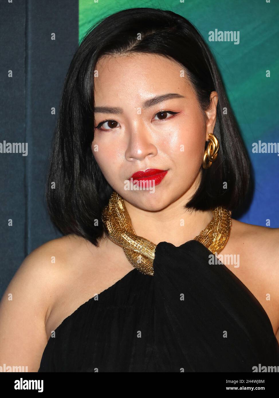 Los Angeles, USA. 04th Nov, 2021. CeCe Vu at the amfAR Gala Los Angeles ...