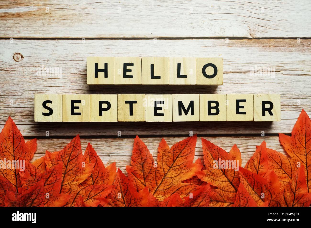 Happy September alphabet letter with maple leaves decoration on wooden ...
