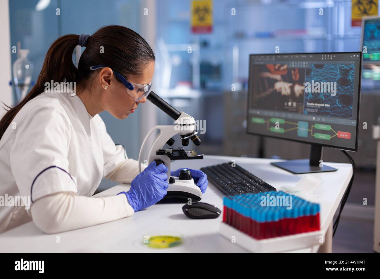 Specialist doctor analyzing virus expertise using microscope during ...