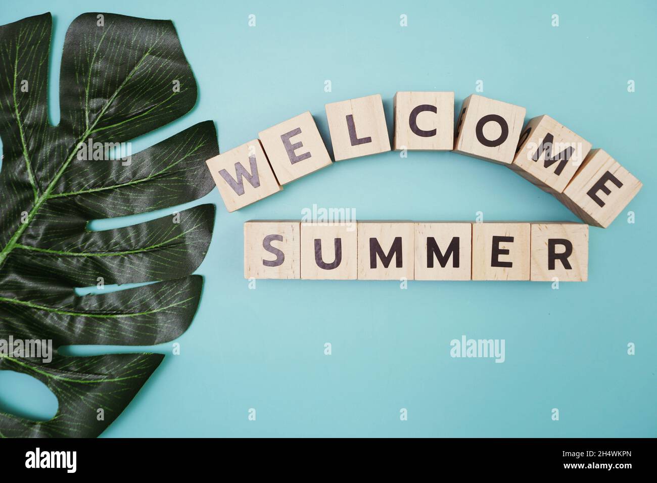 Welcome Summer message alphabet letter with green monstera leave on ...