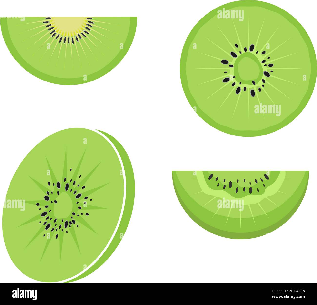 Kiwi Slice Vector