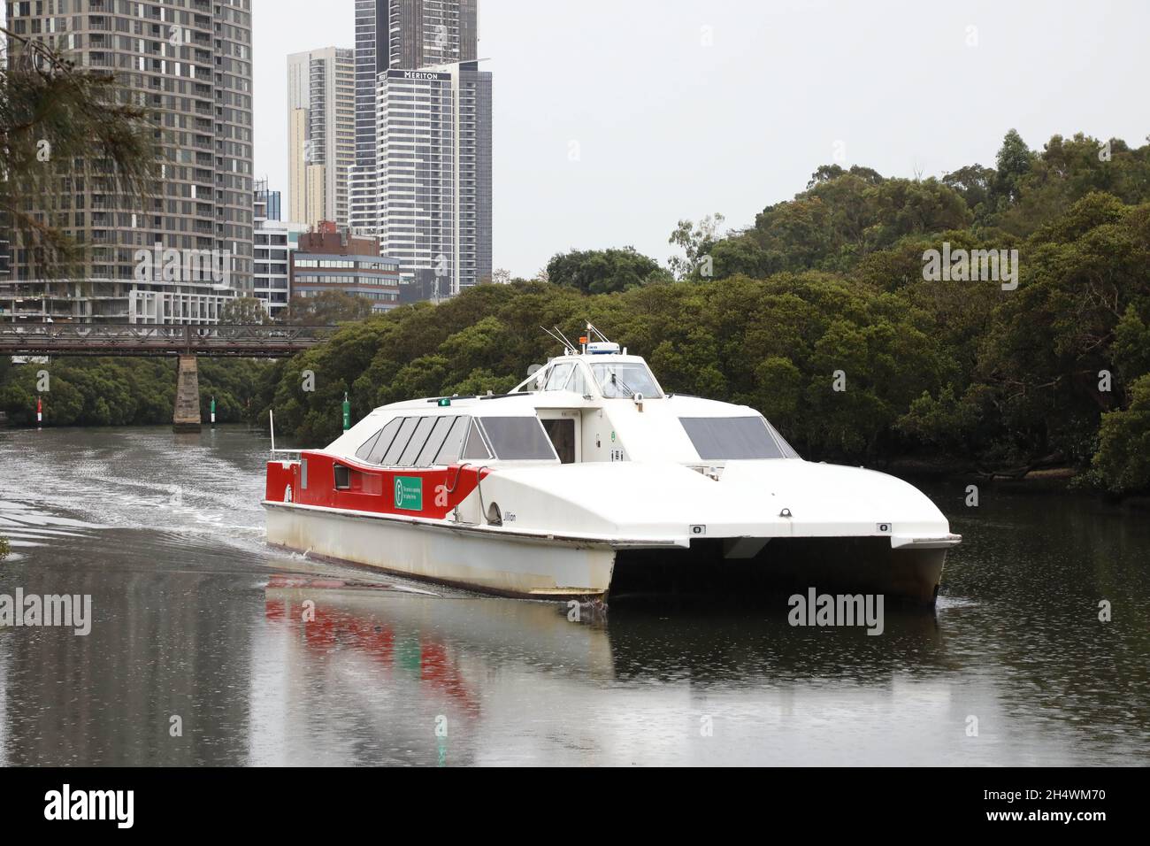 A rivercat ferry on the Parramatta River having just department ...