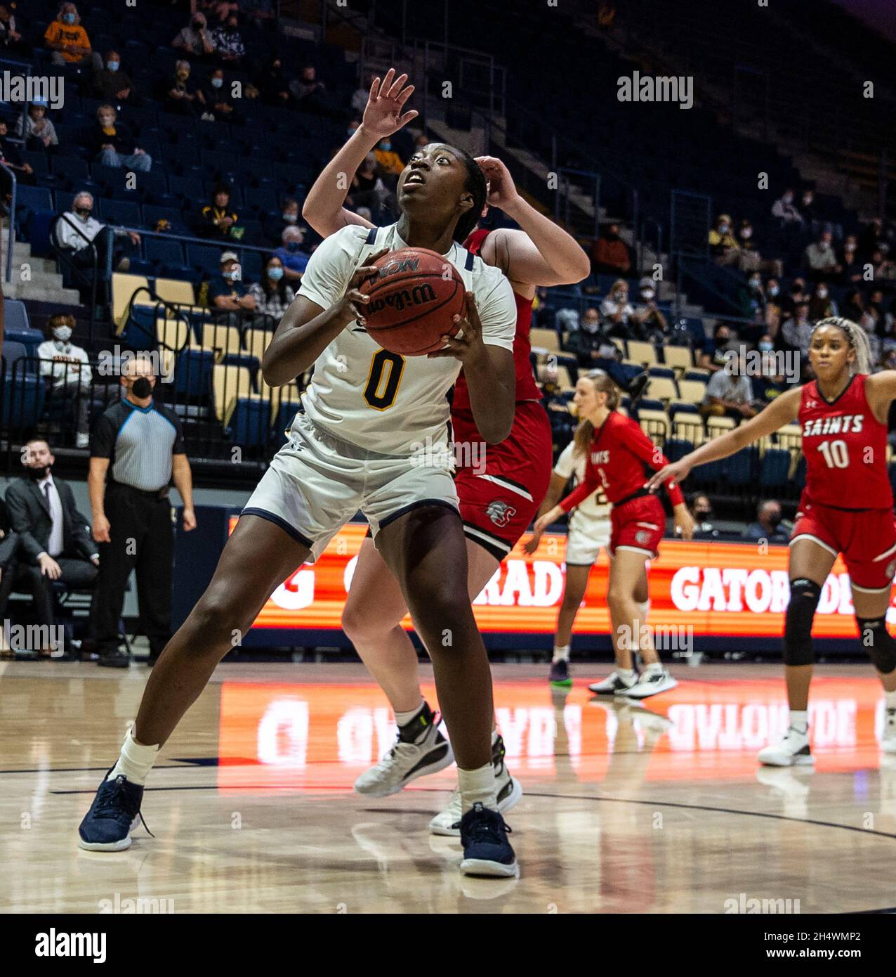 Michelle fox hi-res stock photography and images - Alamy