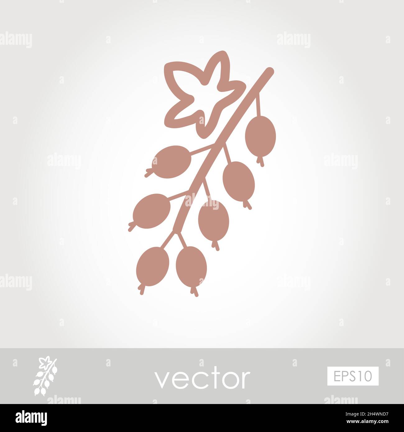 The modern vector currant icon, eps 10 Stock Vector Image & Art - Alamy