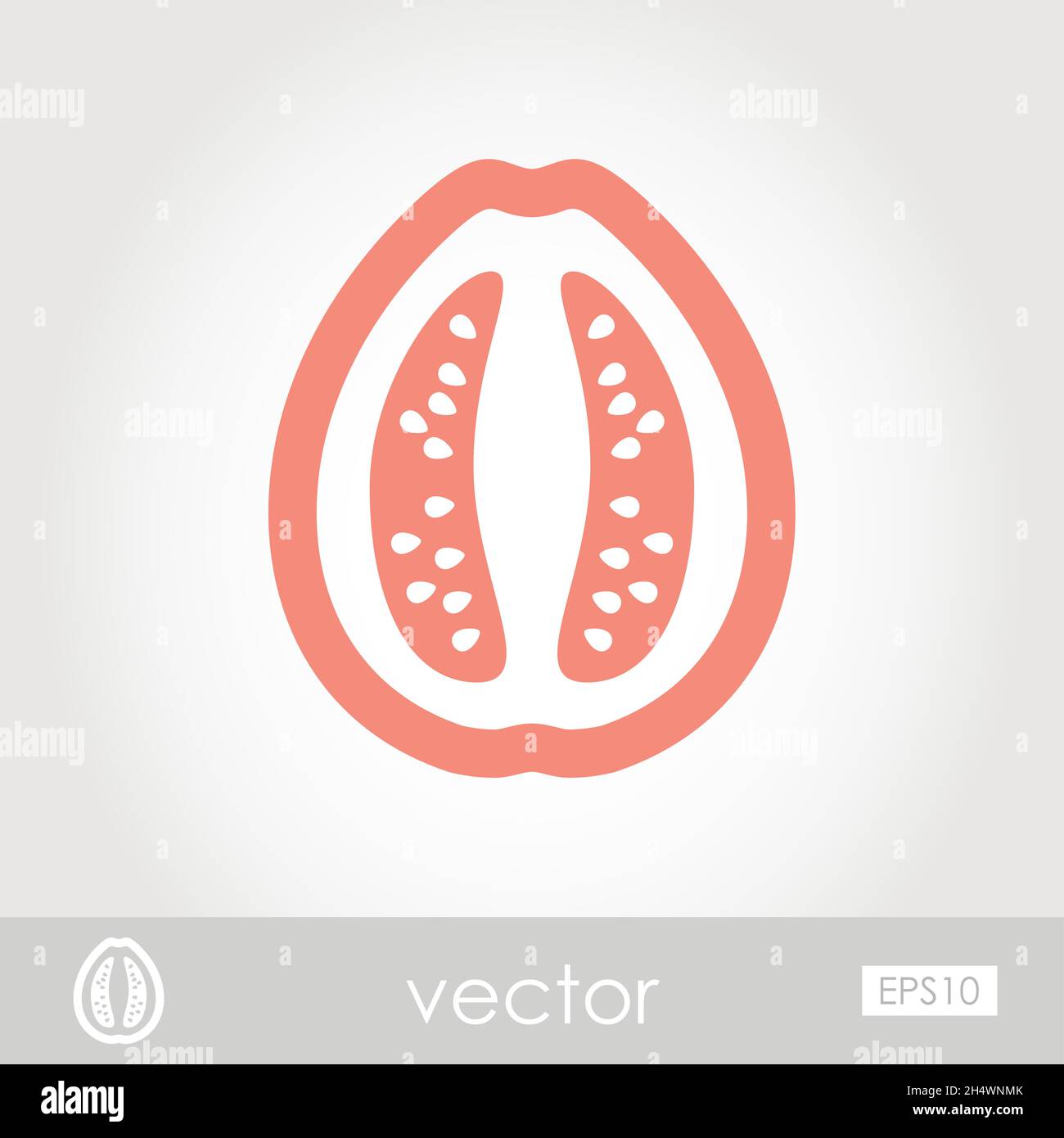 Guava outline icon. Tropical fruit. Vector illustration, eps 10 Stock ...