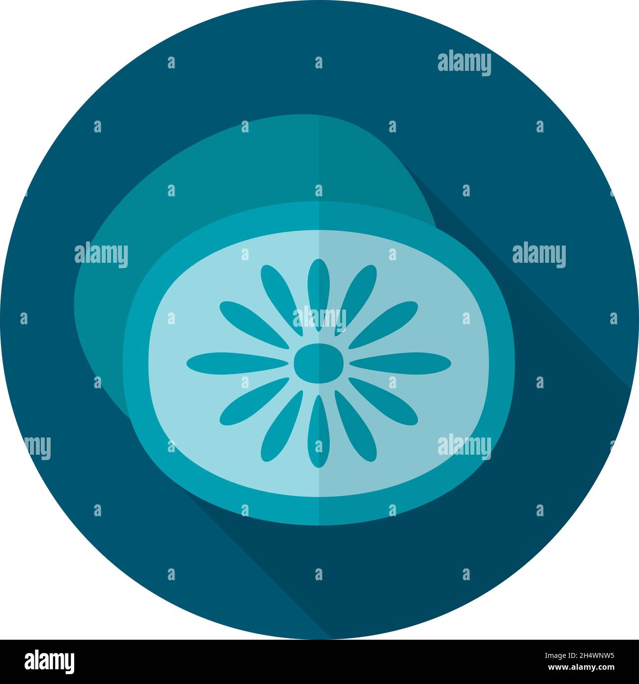 Kiwi flat icon. Tropical fruit. Vector illustration, eps 10 Stock ...