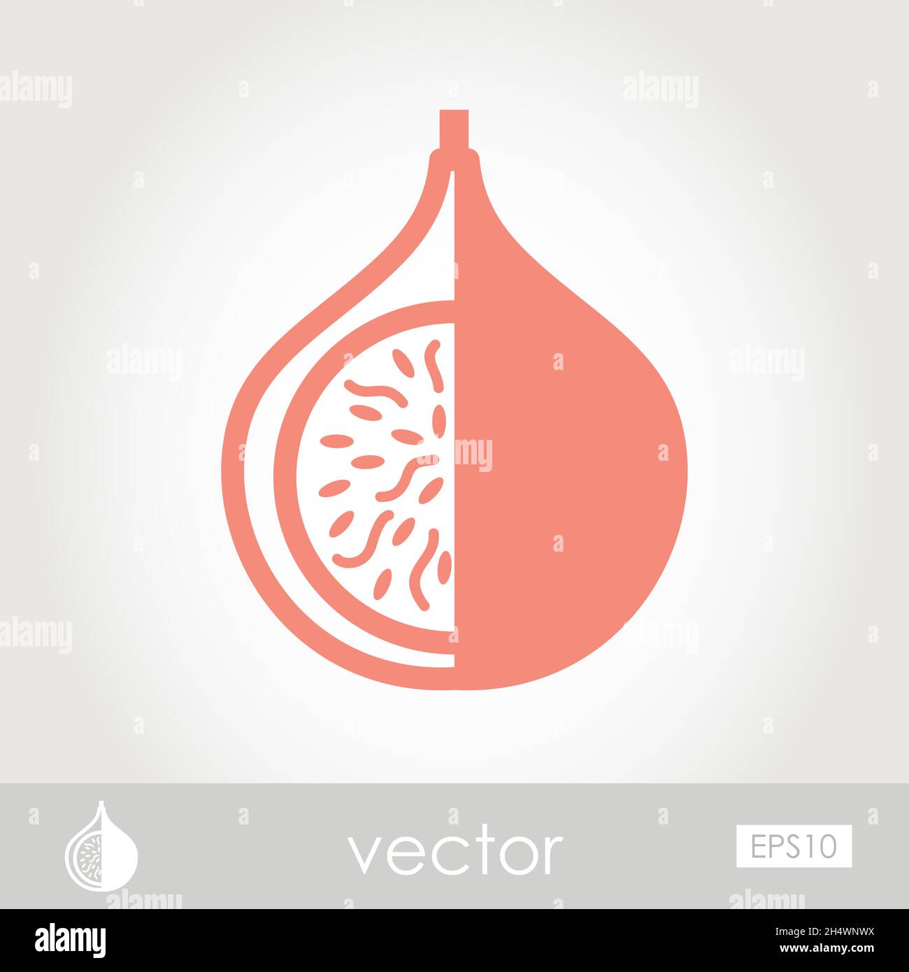 Fig outline icon. Tropical fruit. Vector illustration, eps 10 Stock ...