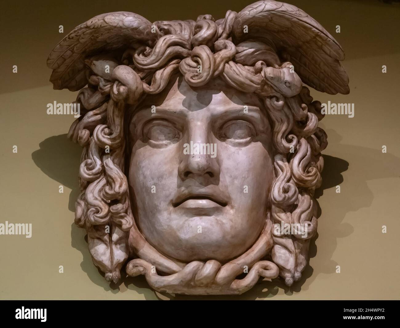 Medusa Gorgona Dangerous Beauty : The Real Story Of Gorgon Medusa | By