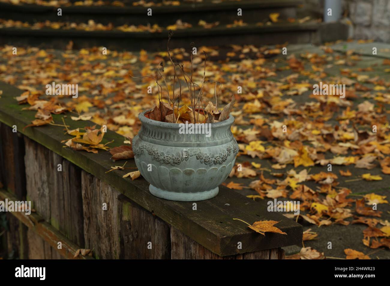 Ceramic pot with plant remains in the garden in autumn Stock Photo - Alamy