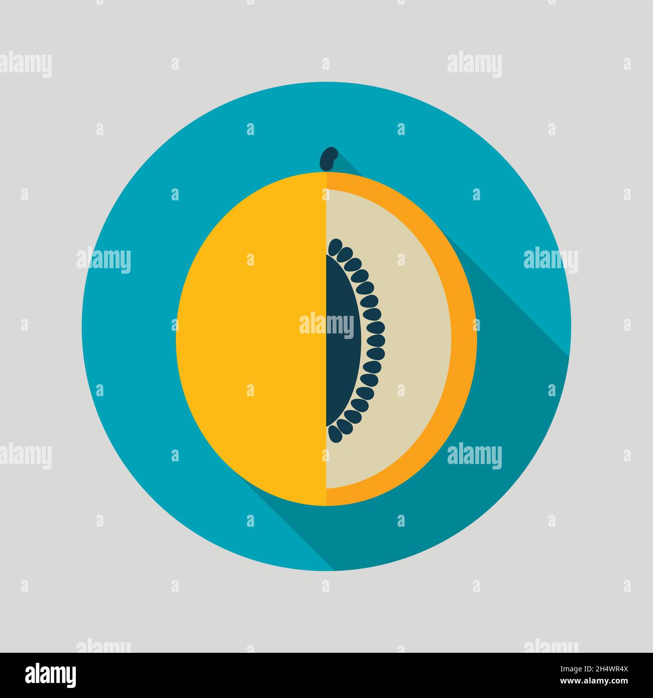 Long melon Stock Vector Images - Alamy