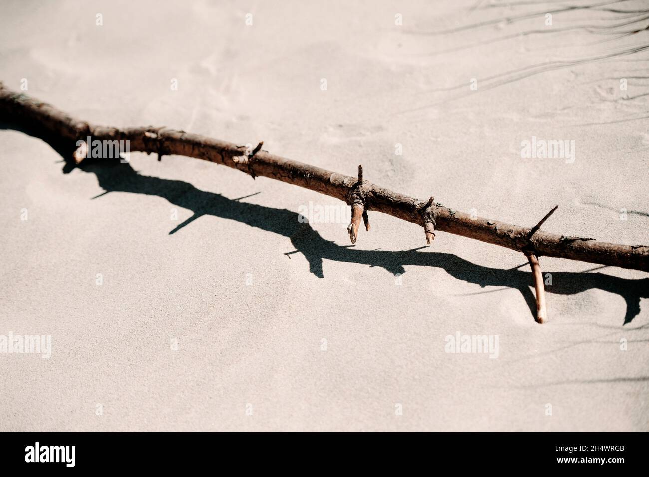 Drawing sand stick hi-res stock photography and images - Alamy