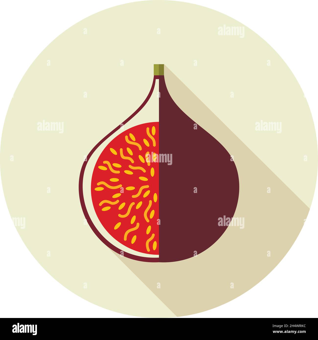 Fig flat icon. Tropical fruit. Vector illustration, eps 10 Stock Vector Image & Art - Alamy