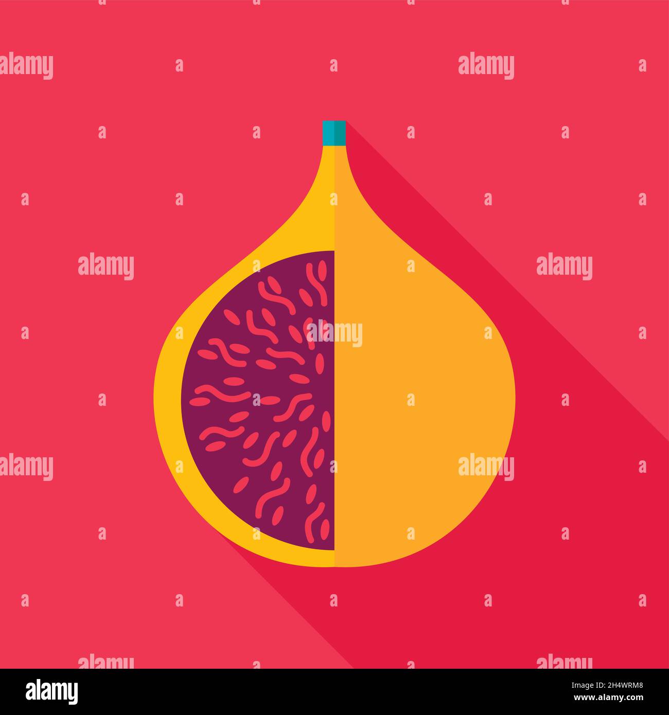 Fig dried Stock Vector Images - Alamy