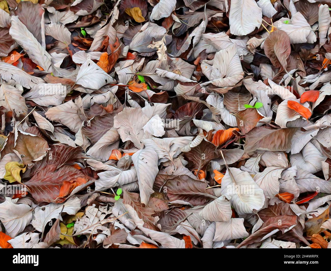 Dry autumn leaves Stock Photo - Alamy