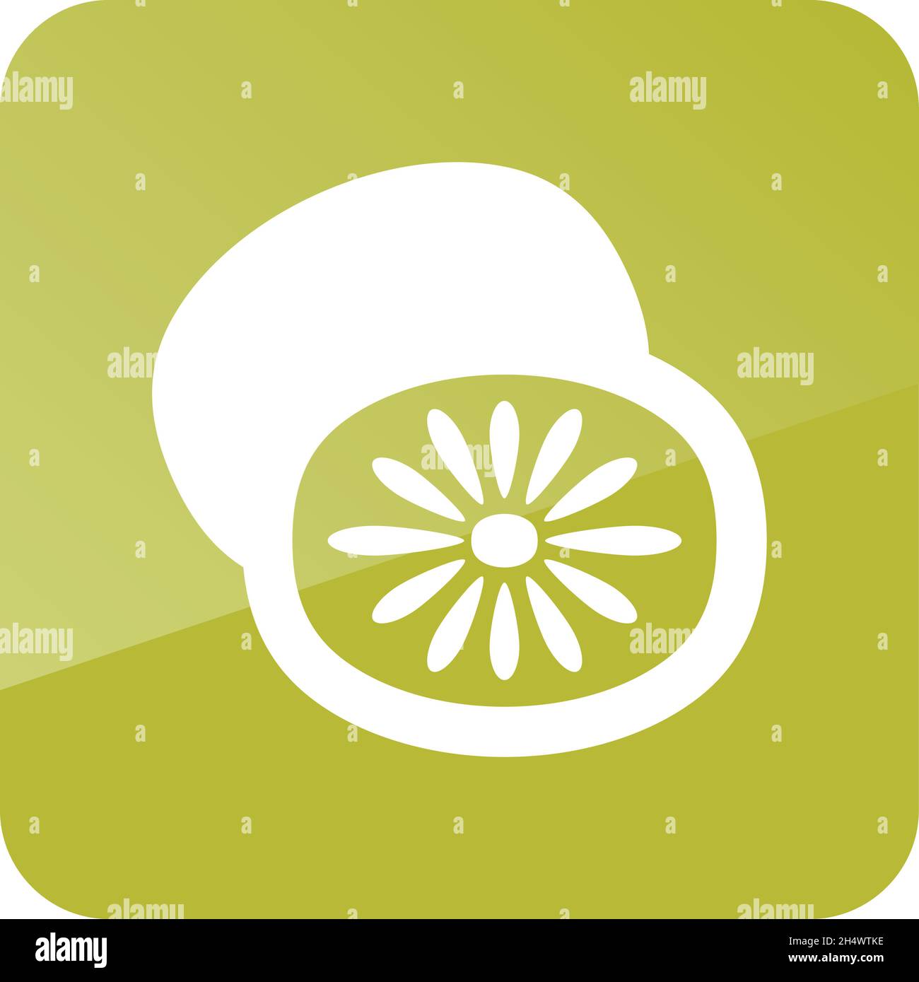Kiwi outline icon. Tropical fruit. Vector illustration, eps 10 Stock ...