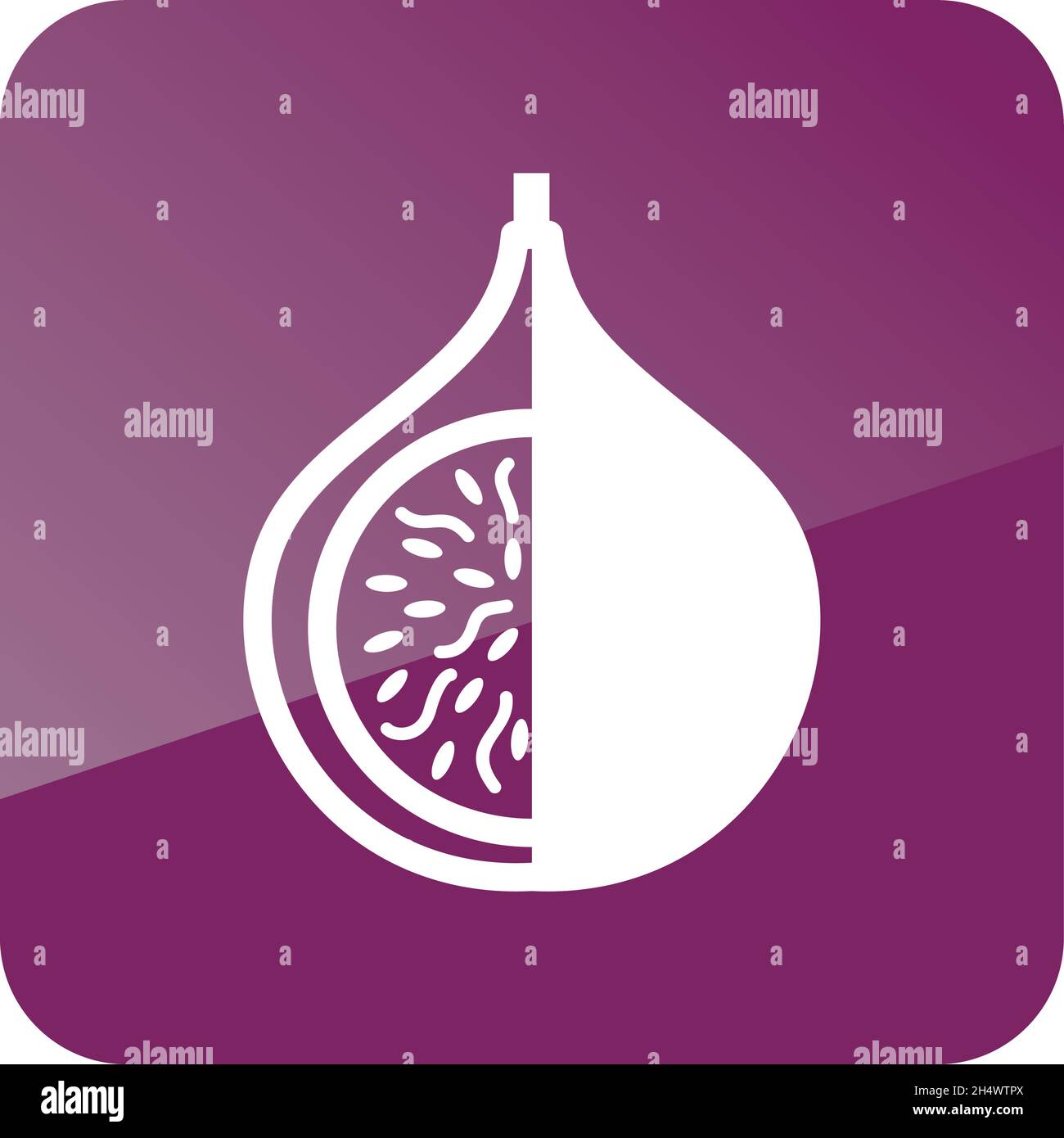 Fig outline icon. Tropical fruit. Vector illustration, eps 10 Stock ...