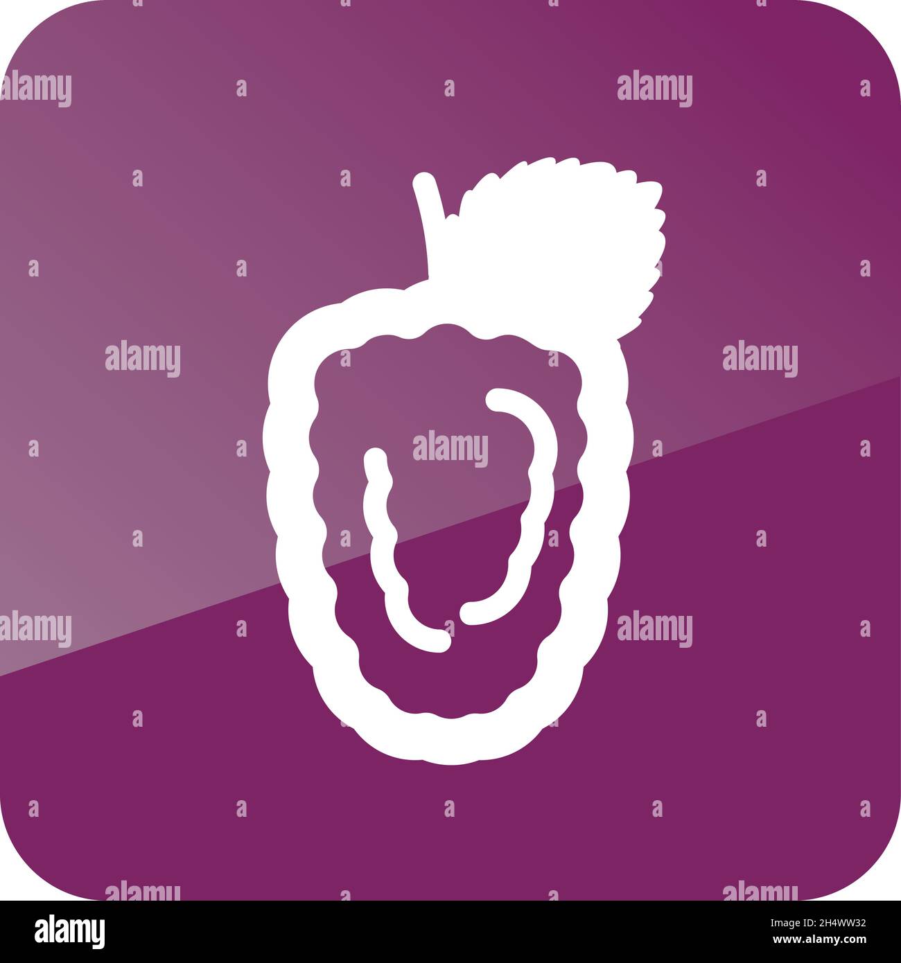 Blackberry bramble outline icon. Berry fruit. Vector illustration, eps ...