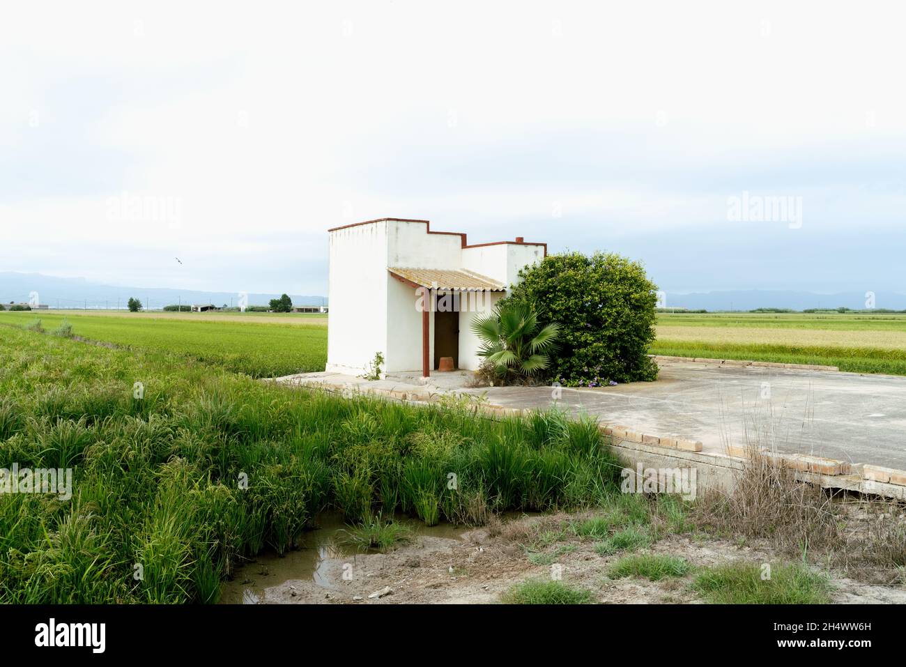 Mexican style building in the middle of the rice paddy fields Stock ...