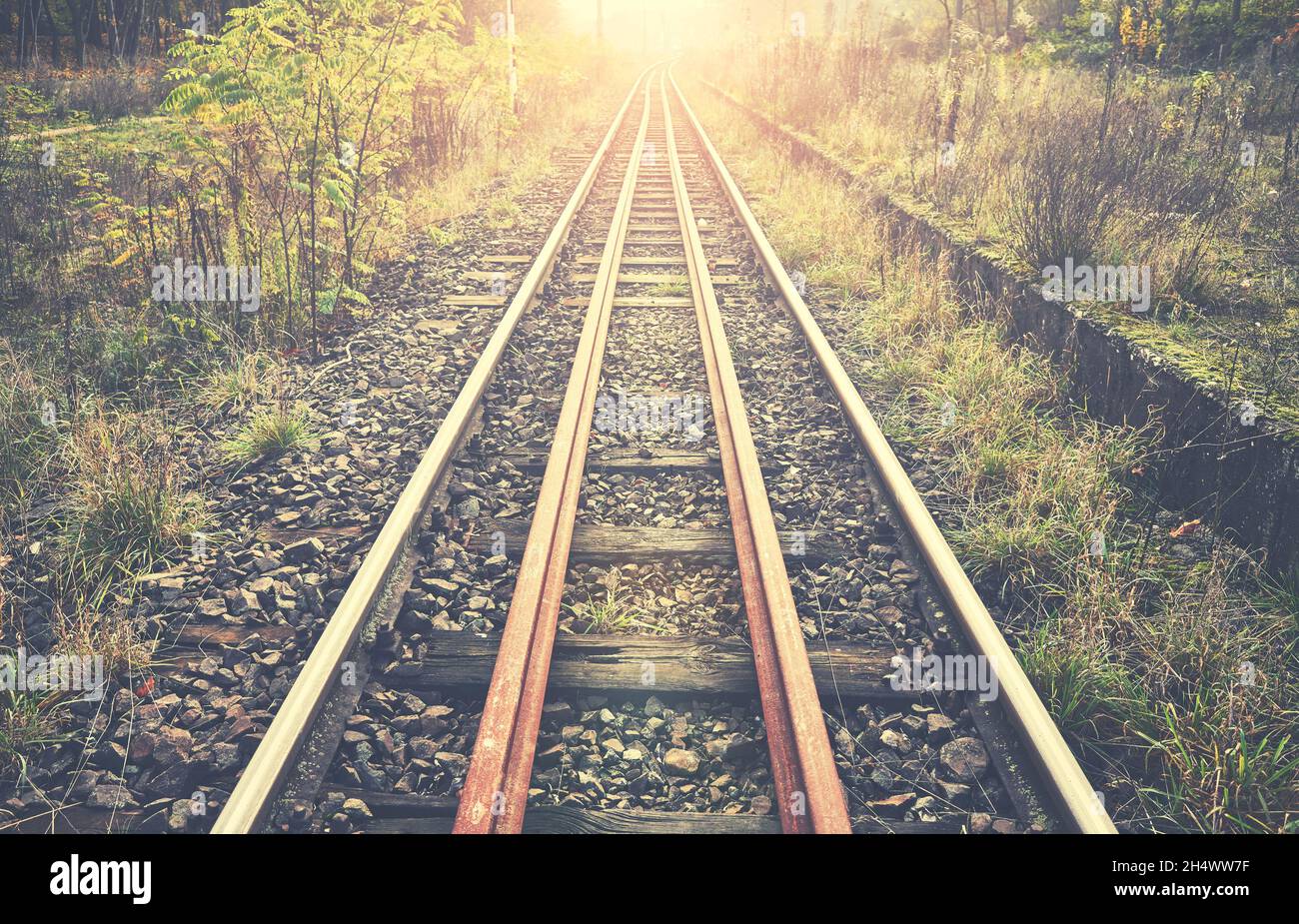 Facing the sun on the railroad tracks, color toned picture Stock Photo ...