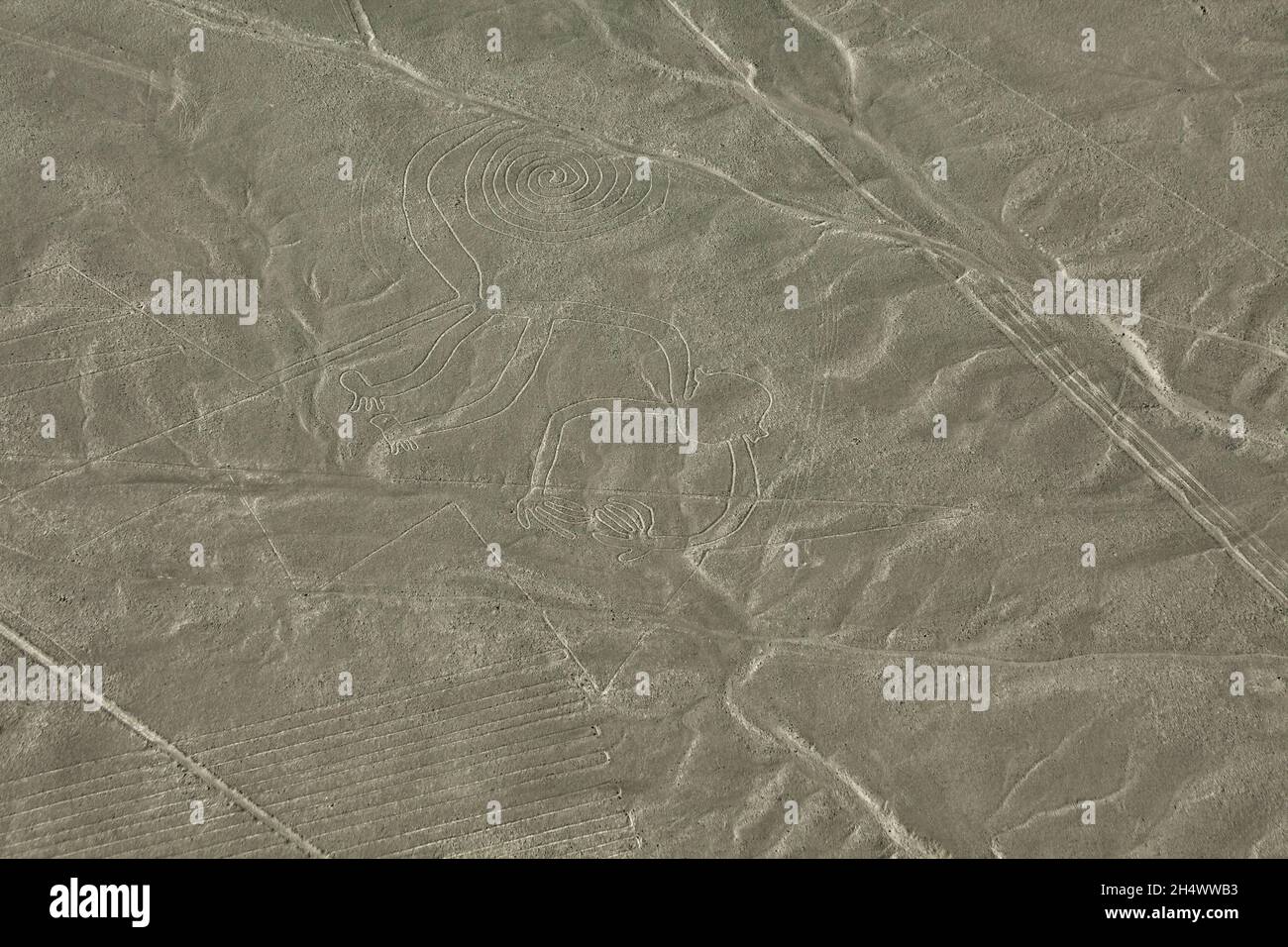 Aerial view of nazca lines representing a Monkey Geoglyph, Nazca, Peru ...