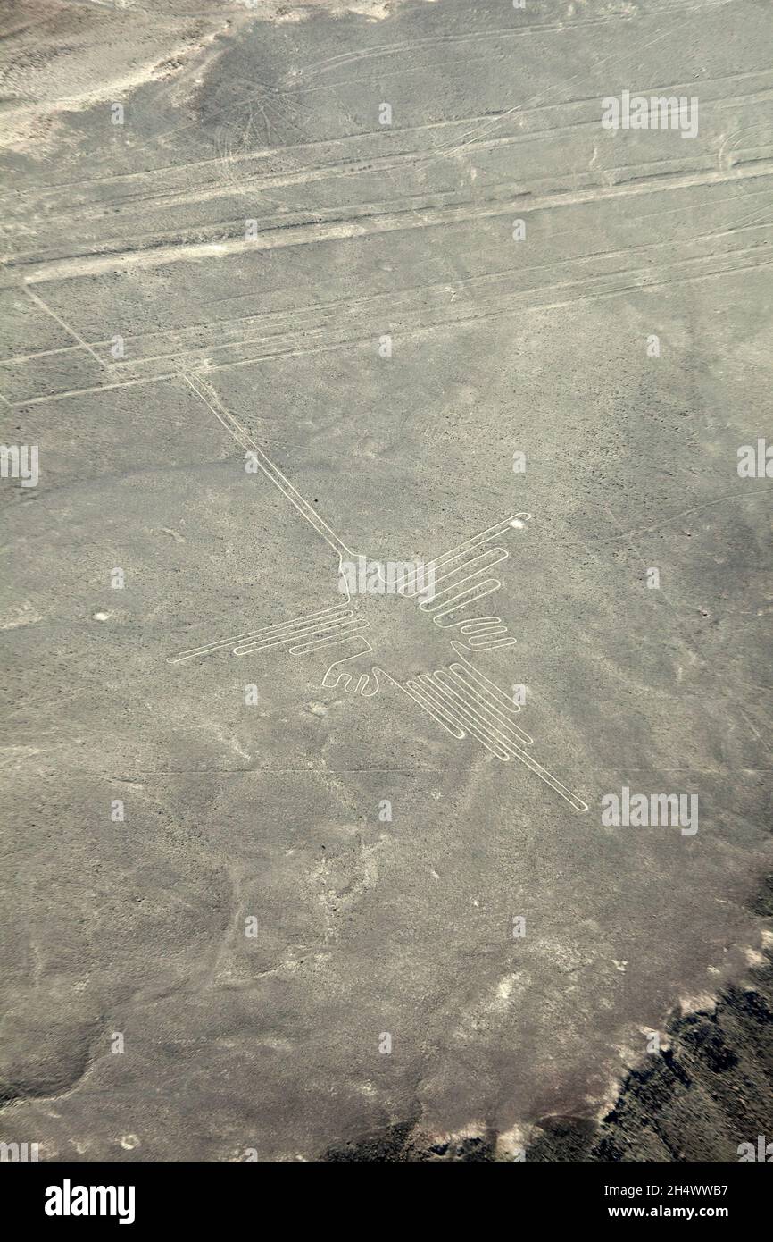 The Hummingbird, Nazca Lines, (ancient geoglyphs and World Heritage ...