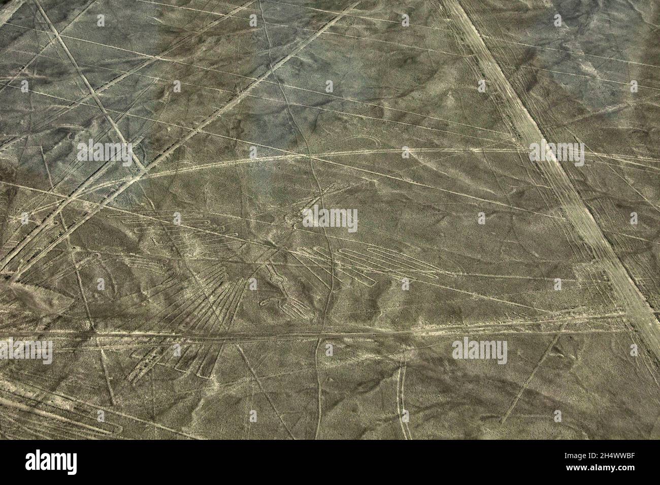 The Condor geoglyph figure in the peruvian coastal desert known as the ...