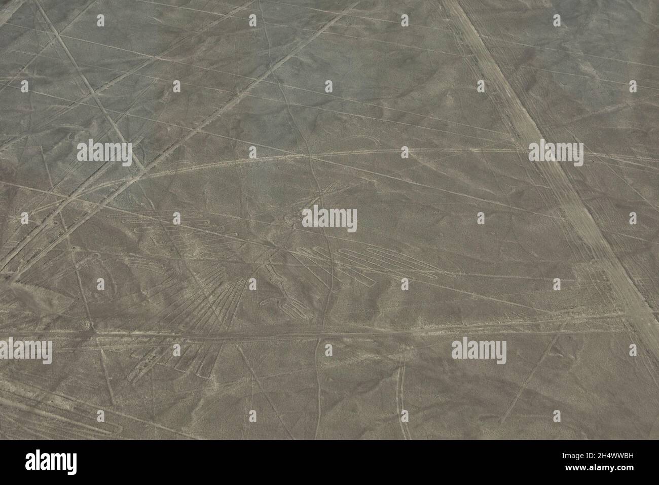 The Condor geoglyph figure in the peruvian coastal desert known as the ...