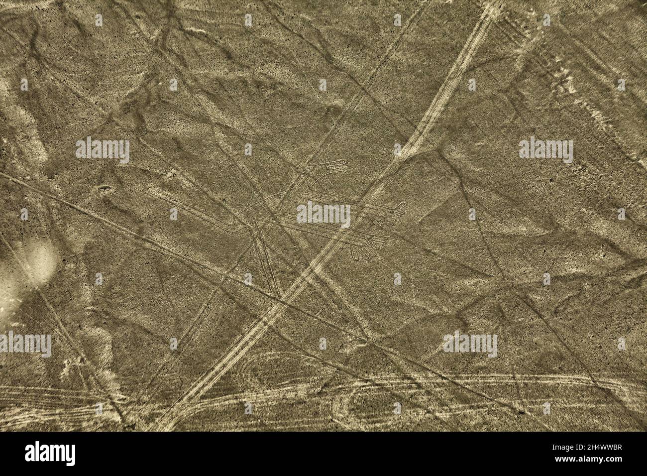The Dog, Nazca Lines, Nasca geoglyphs, UNESCO World Heritage site near ...
