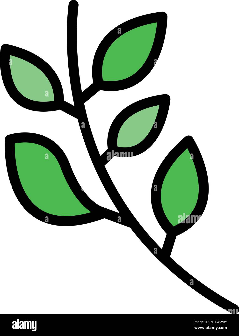 Basil branch icon. Outline basil branch vector icon color flat isolated ...