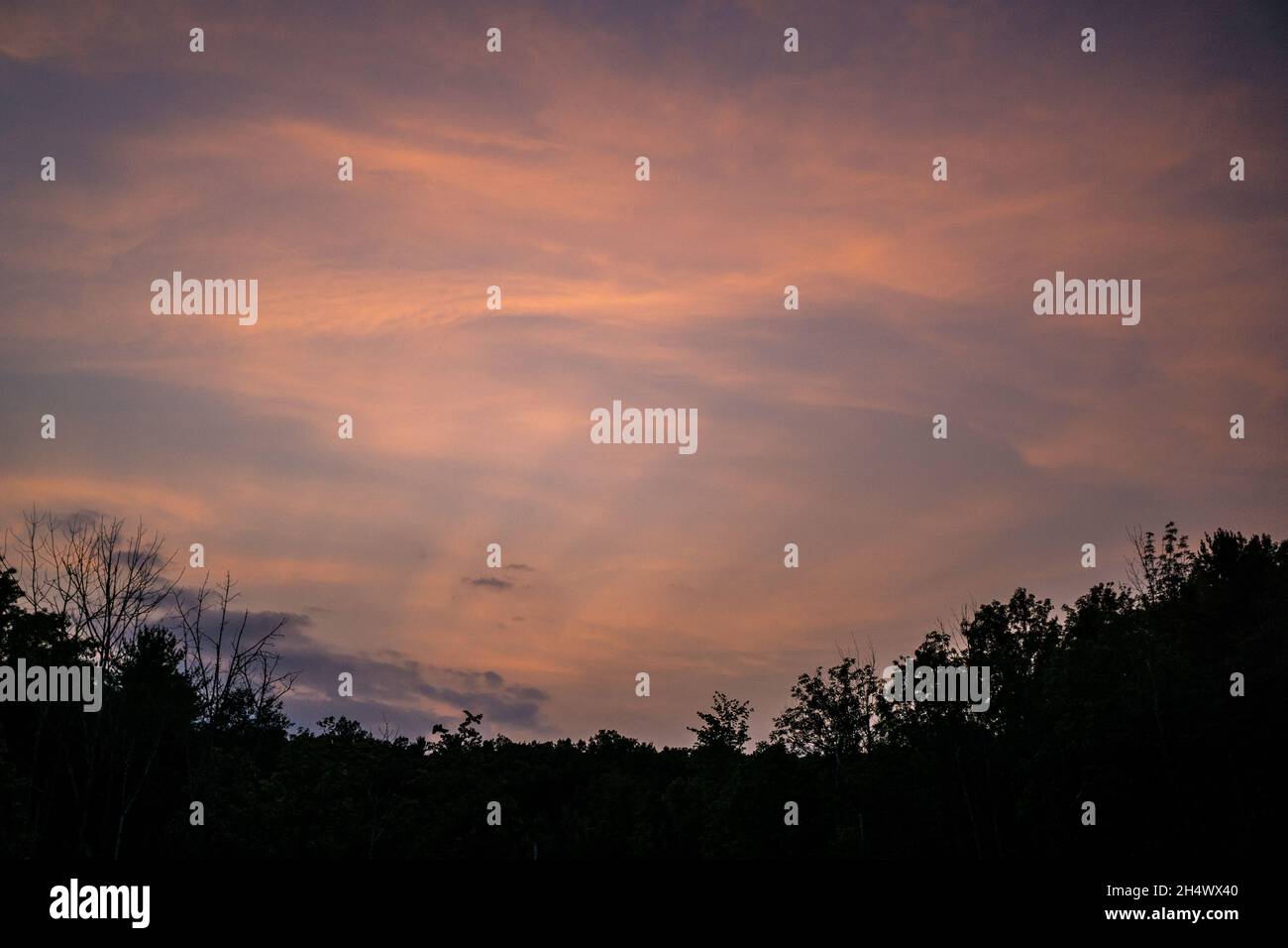 Sunset sky over trees in NY Stock Photo - Alamy