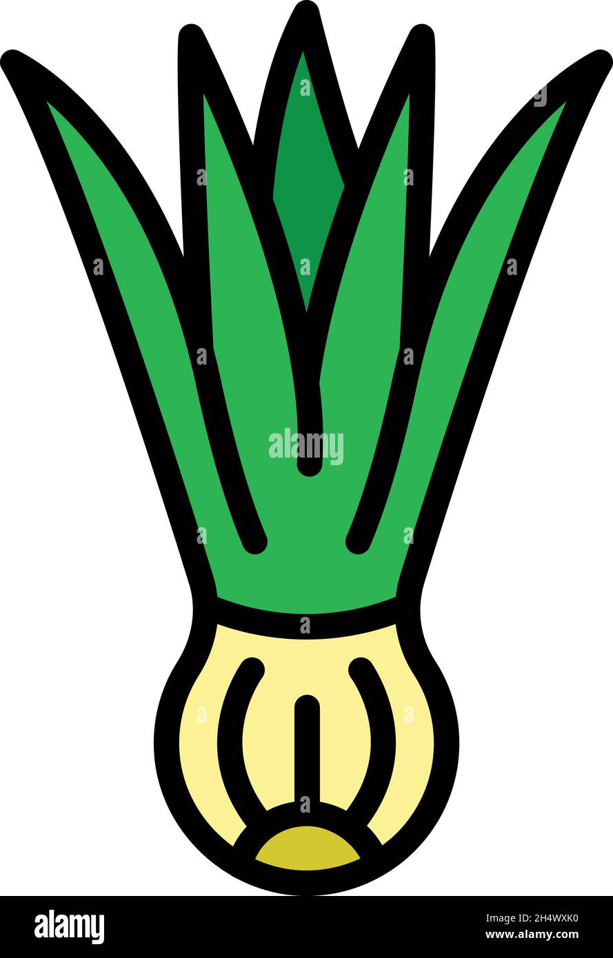 Chives flower bed Stock Vector Images - Alamy