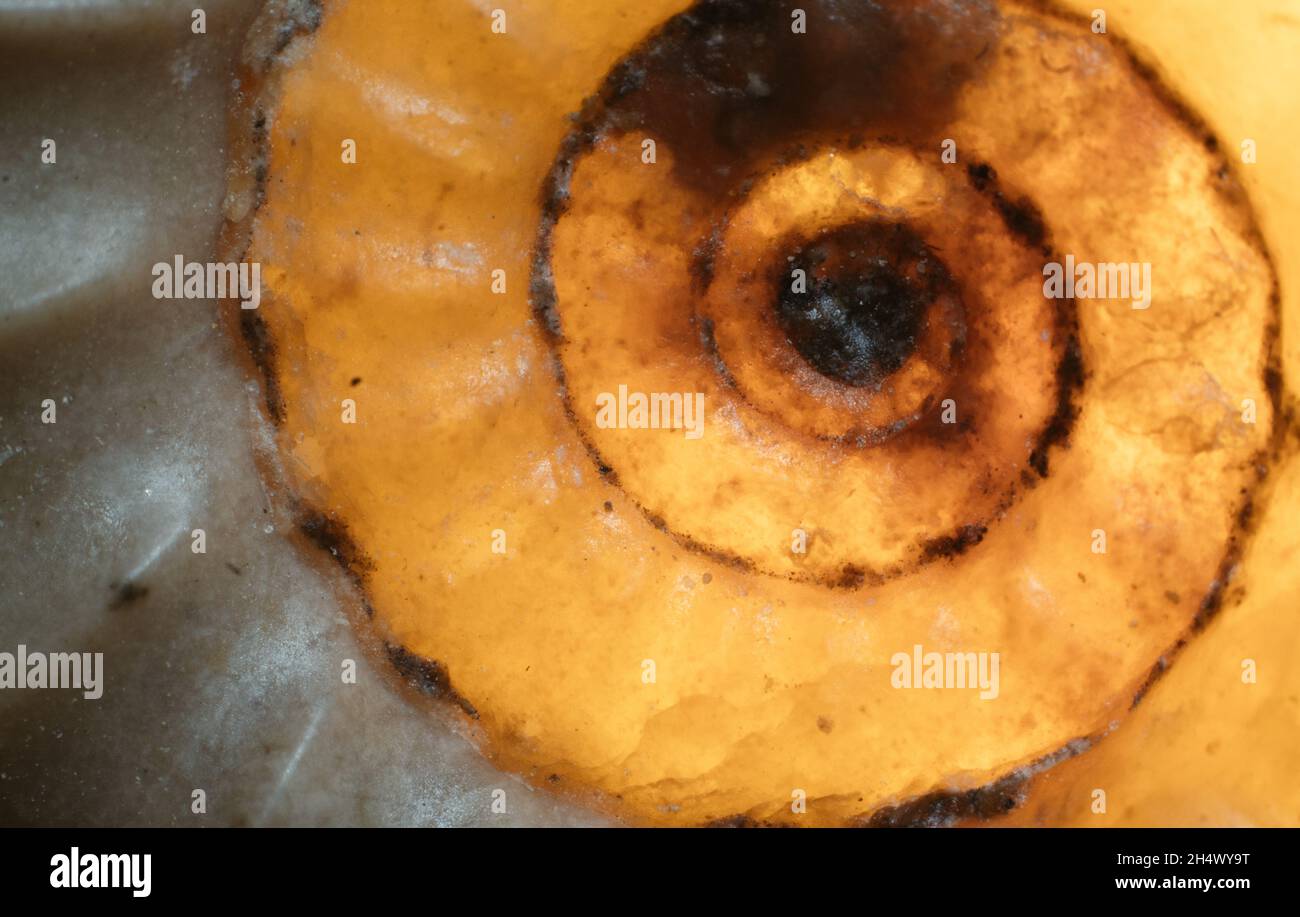 Spiral pattern for background and wallpapers Stock Photo - Alamy