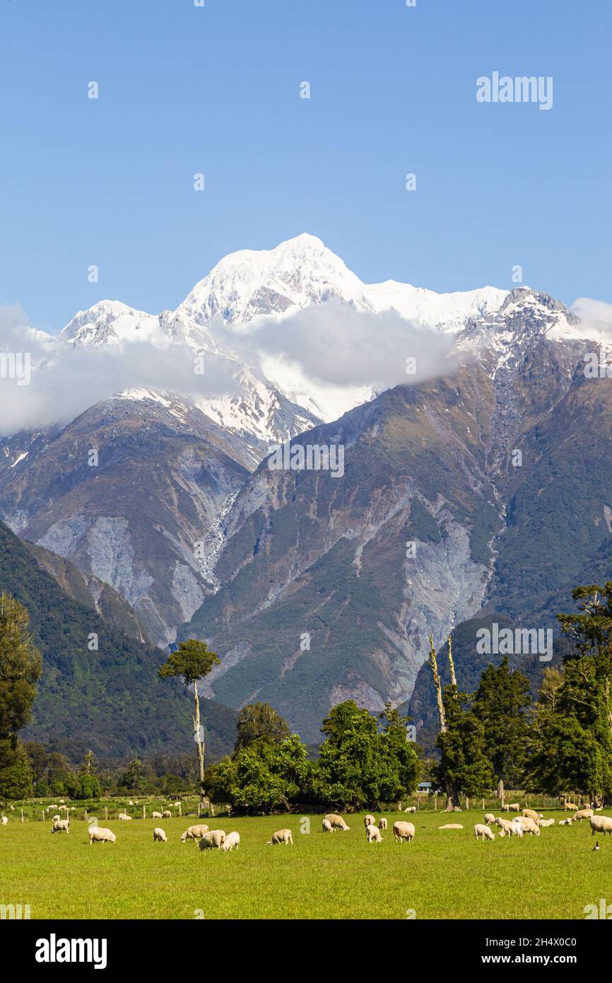 Southern Alps Landscapes. Mount Cook. New Zealand Stock Photo - Alamy