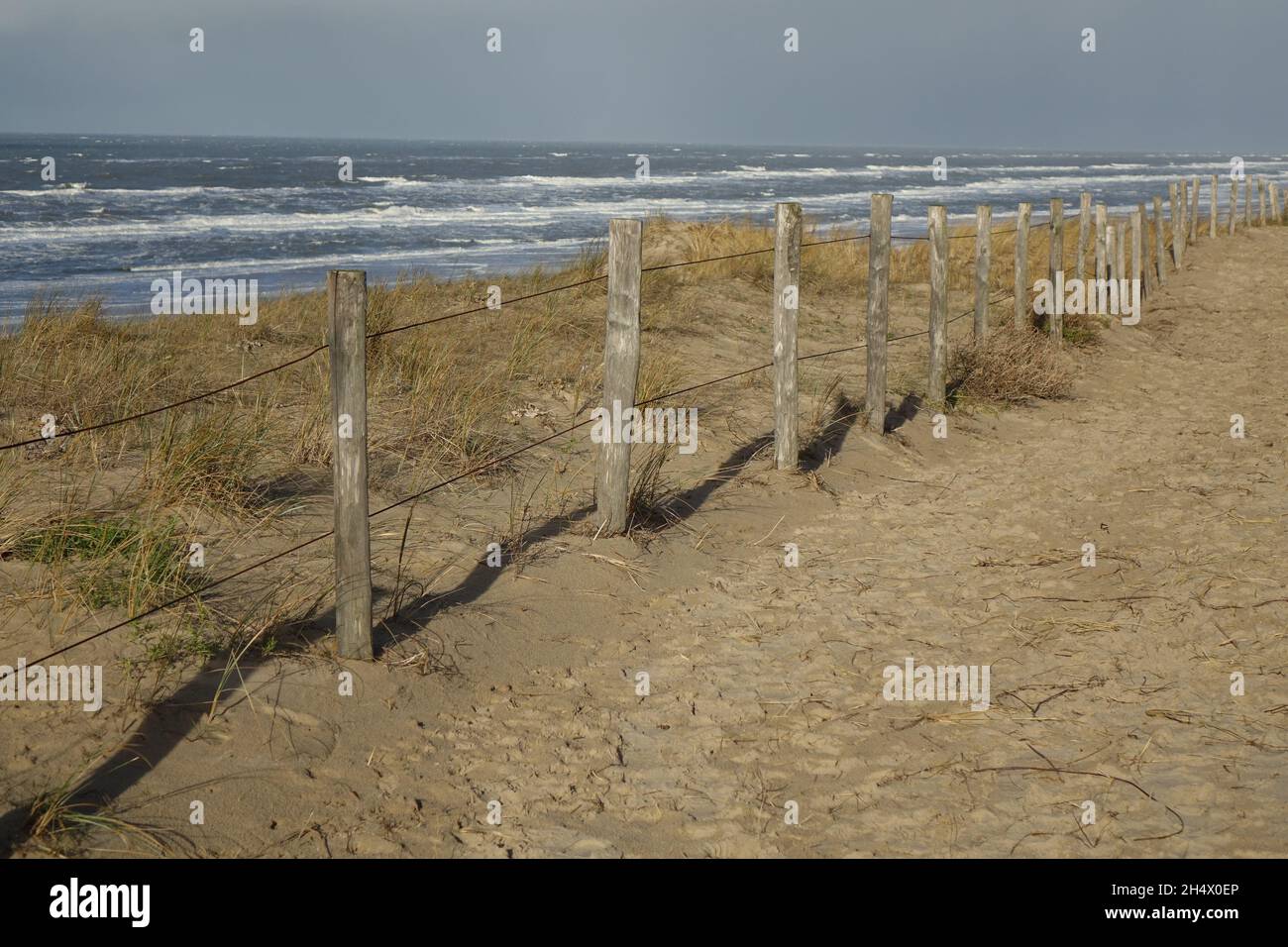 Sandy dune path with wire fence at the North Sea beach with rolling ...