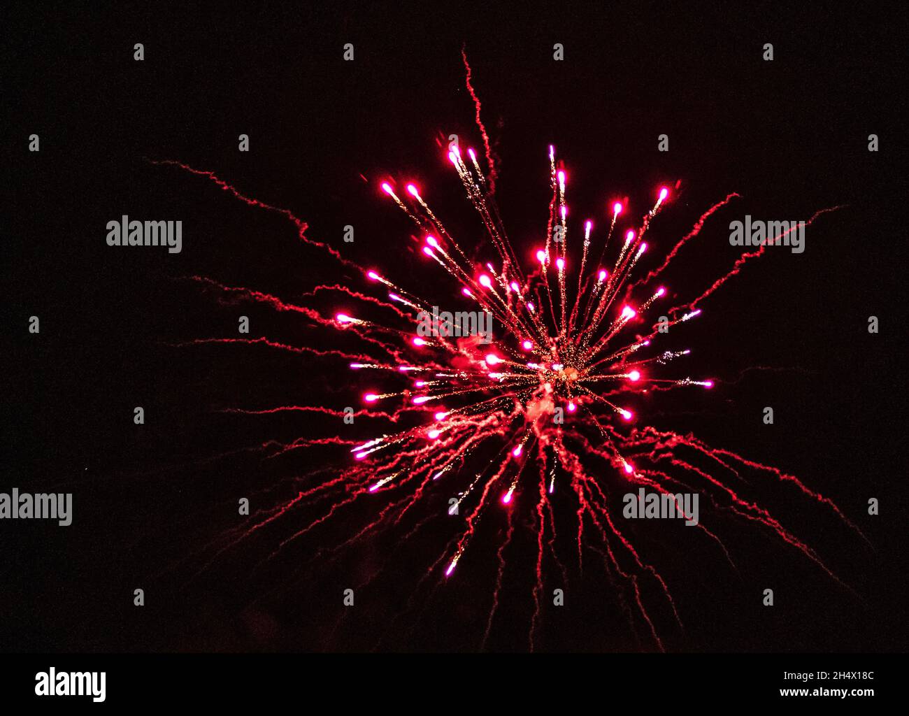Night sky with firework hi-res stock photography and images - Alamy