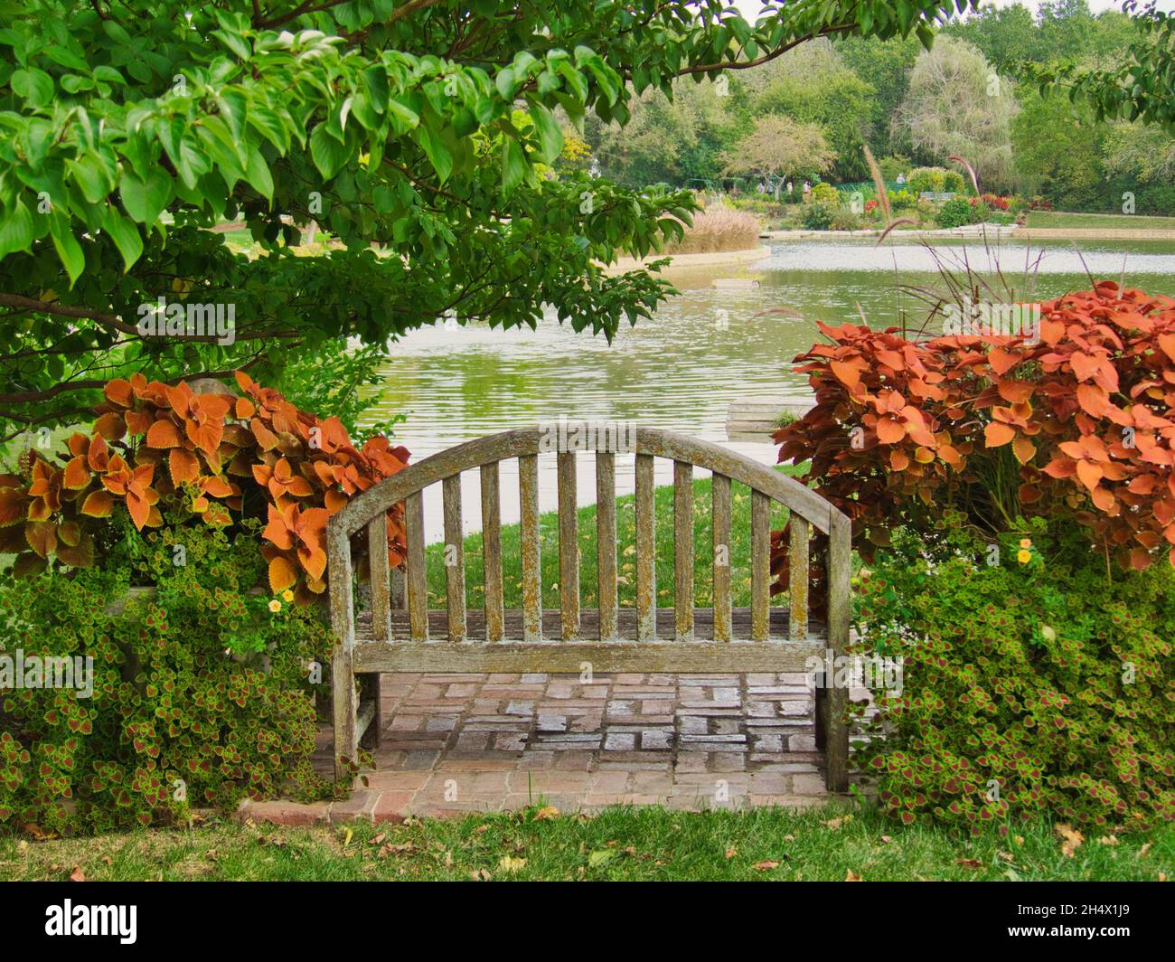 Wooden bench by the pond at Overland Park Arboretum and Botanical ...