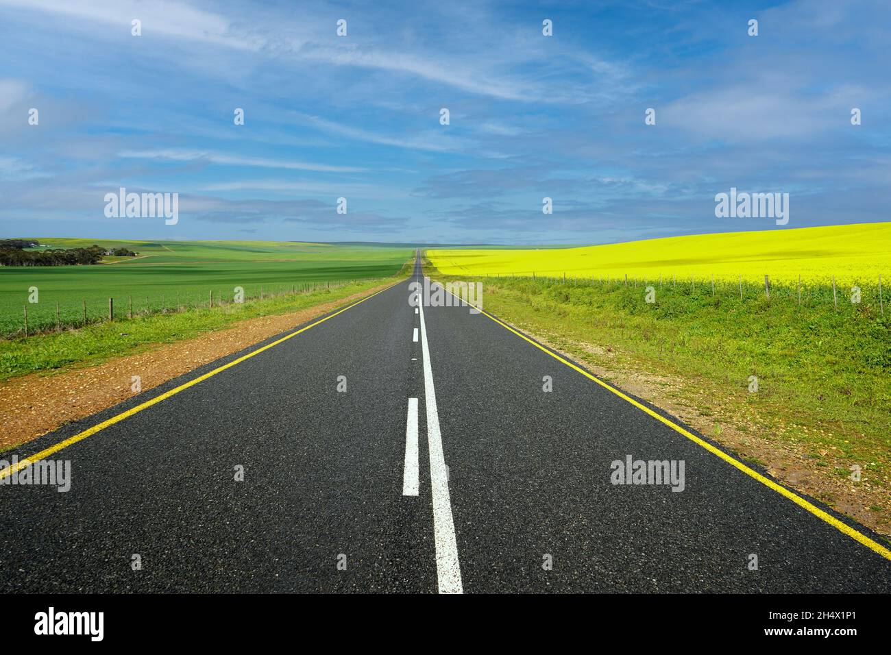 Yellow line landscape hi-res stock photography and images - Alamy