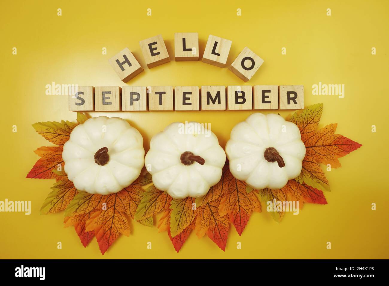 Hello September alphabet letter with pumpkin and maple leaves ...